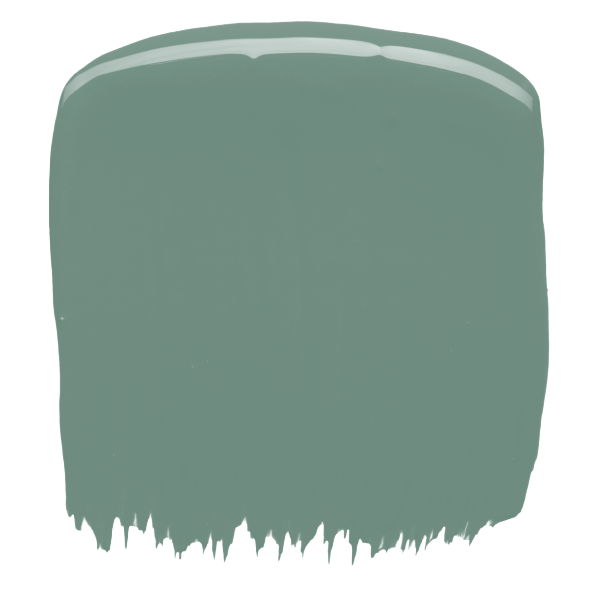Frosted Fern Peel N Stick – Up Paint